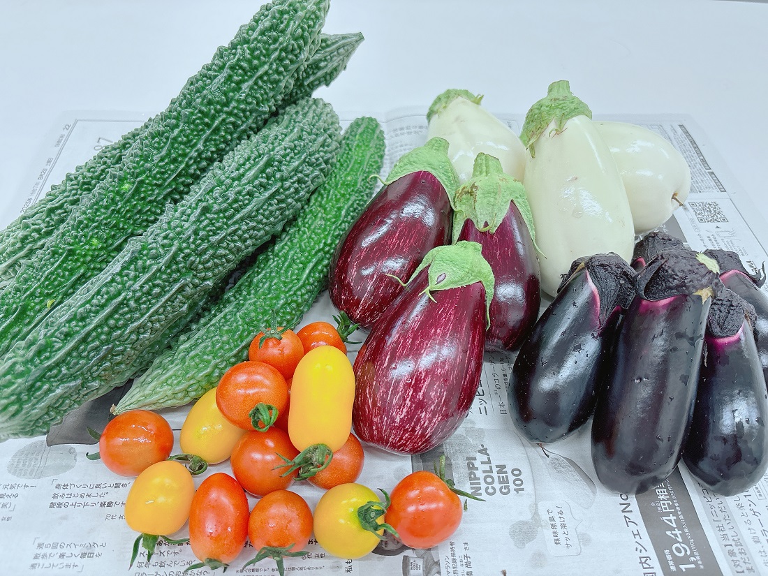 店舗ブログ | 株式会社長野ダイハツモータース